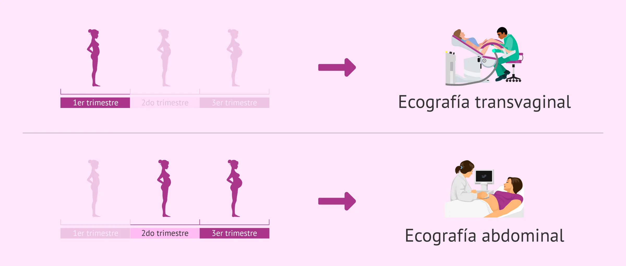 Etapas Del Embarazo Acompañan A Las Futuras Madres En Cada Etapa Del