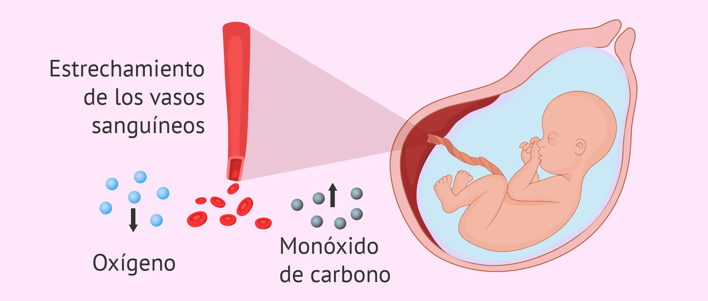 Efectos De Fumar En El Cuerpo 1699