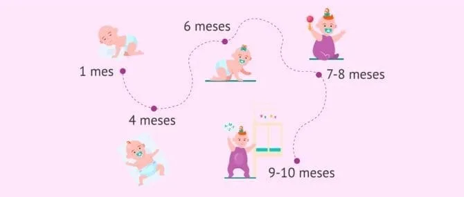 Hitos Del Desarrollo De Su Hijo Hitos Del Desarrollo: Cuatro Meses De