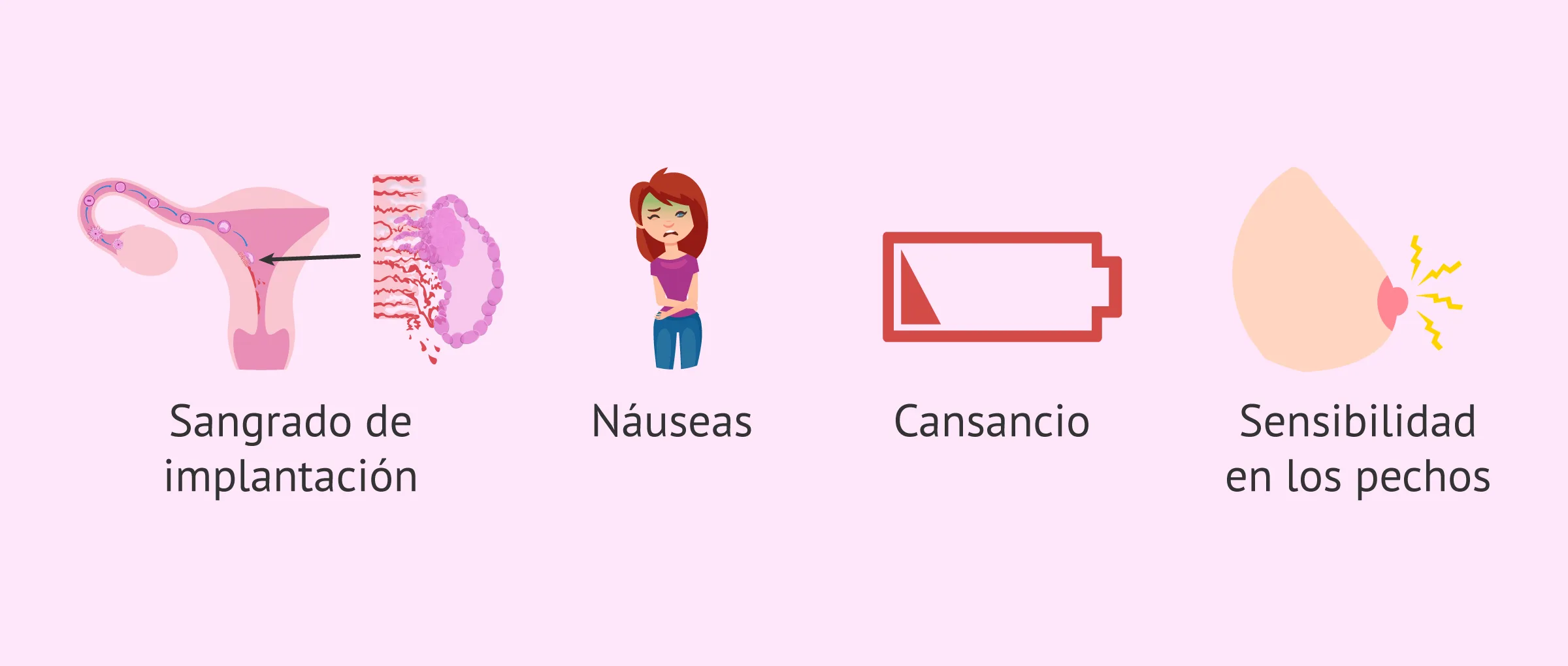 Implementacion Significado Modelos Y Estrategias Efectivas Durante La