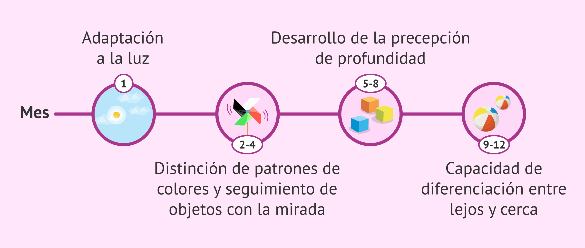 ¿Cuáles son las etapas del desarrollo de la vista del bebé?