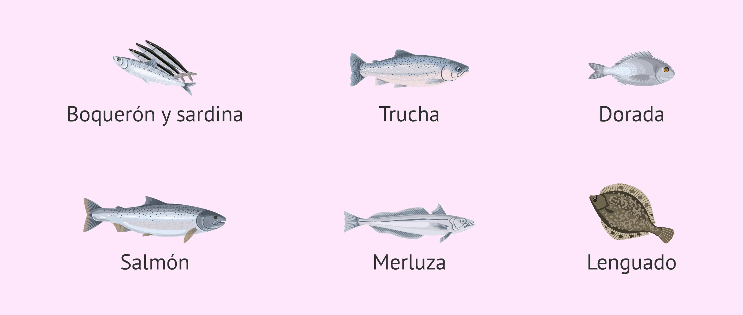 Pescado Parte 3 Animal Pescado