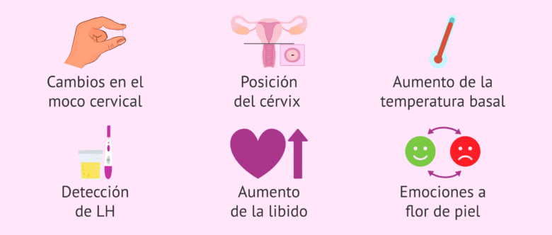 Principales signos de fertilidad en la mujer