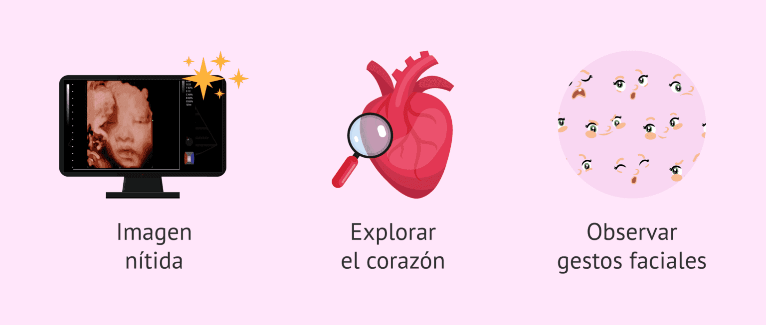 ¿Cuándo se hace la ecografía 4D en el embarazo y qué ventajas ofrece?